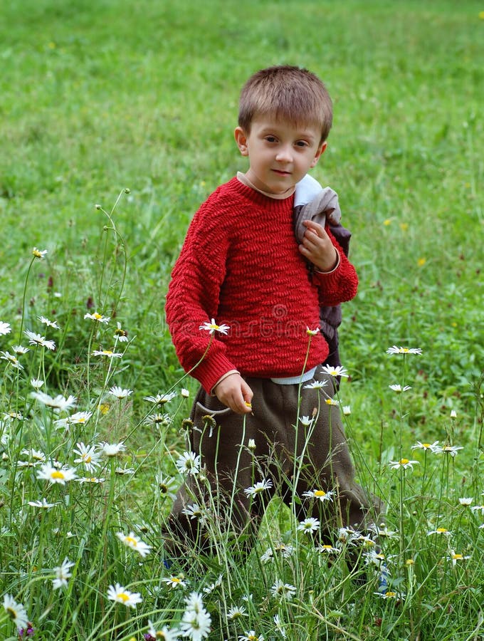 Boy in the meadow. stock image. Image of nature, green - 12434999