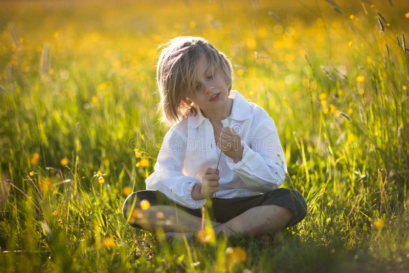 Boy on meadow stock image. Image of emotions, smille - 25240725