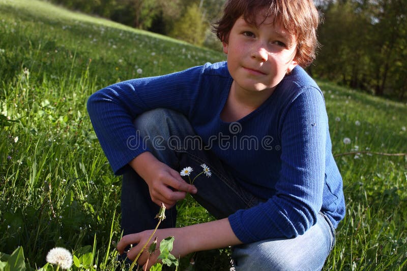Boy on the meadow stock photo. Image of jeans, green - 29249290