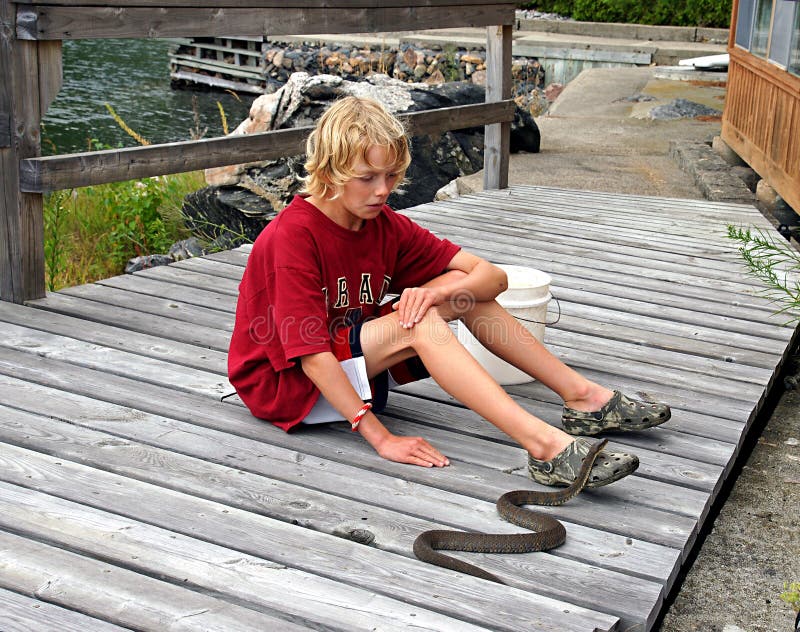 Boy meets Snake stock image. Image of rocky, scary, surprise - 6275387
