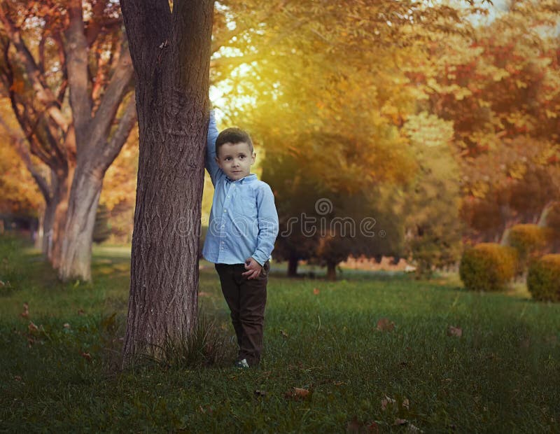 A boy in the nature stock image. Image of like, beautiful - 108054983