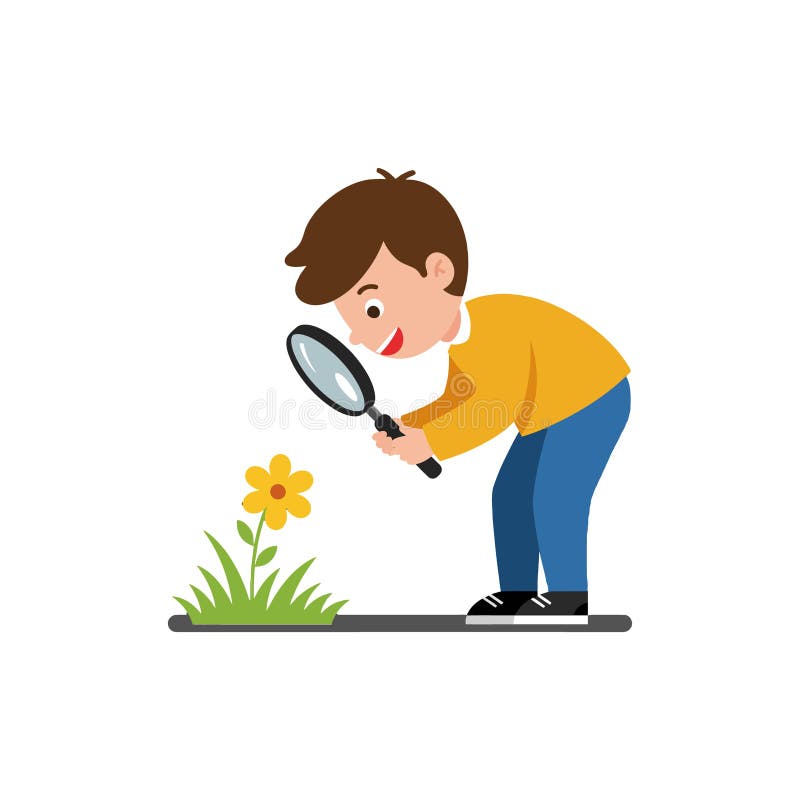 Boy Observing Flower with Magnifying Glass in Flat Vector Art Stock ...