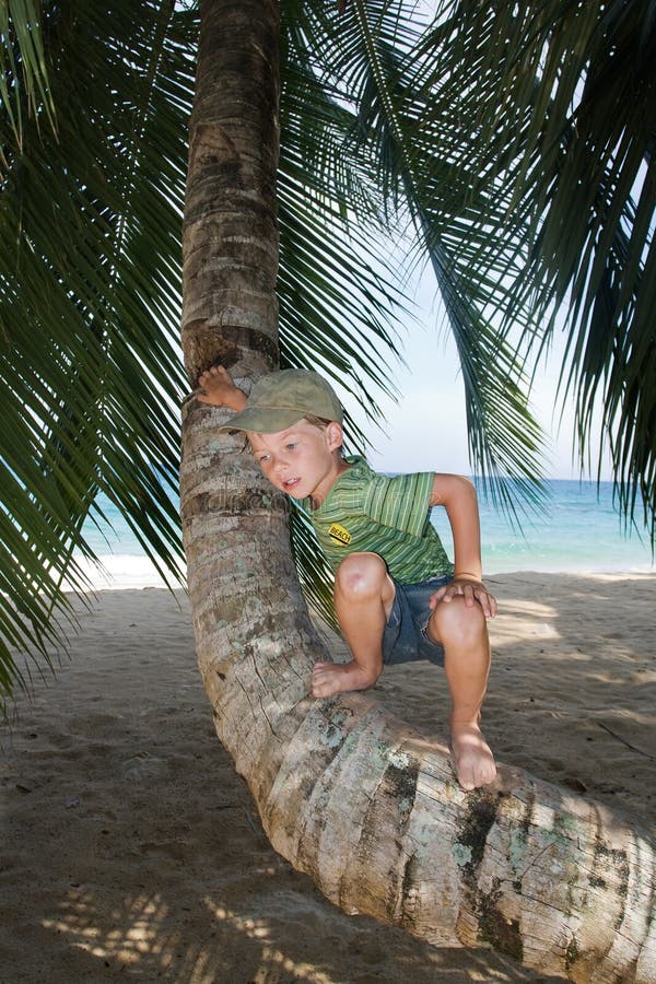 Boy on palm tree stock image. Image of peace, exotic - 10968453