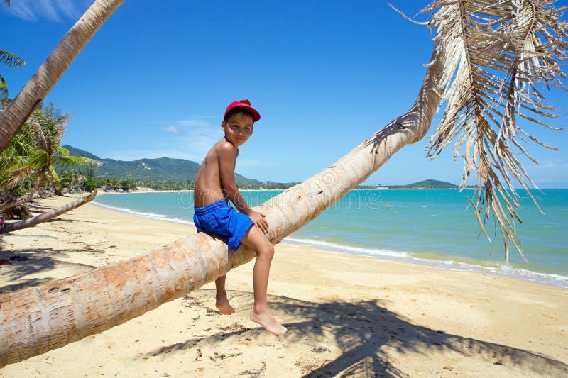 Boy relaxing on a beach. stock image. Image of face, hammock - 69453095