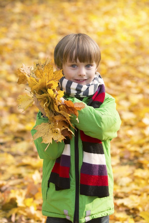 Boy in Park in the Fall Holding Leaves Stock Image - Image of november ...