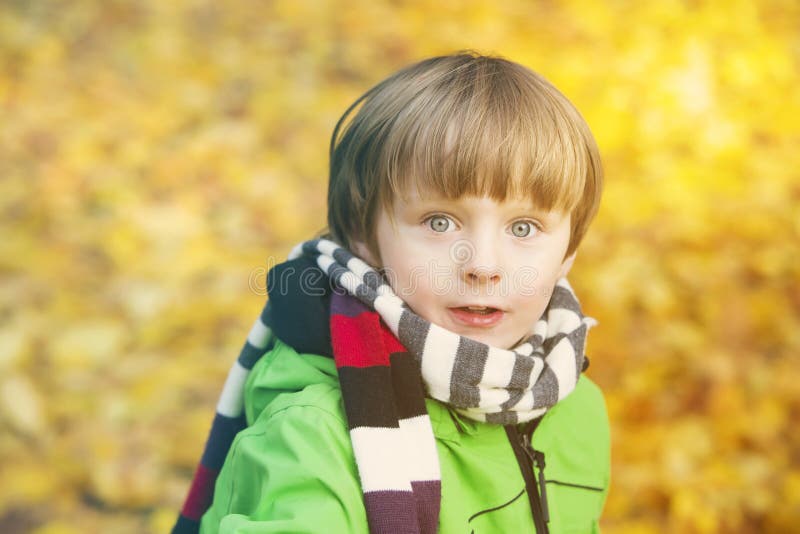 Boy in park in the fall stock photo. Image of autumn - 62025920