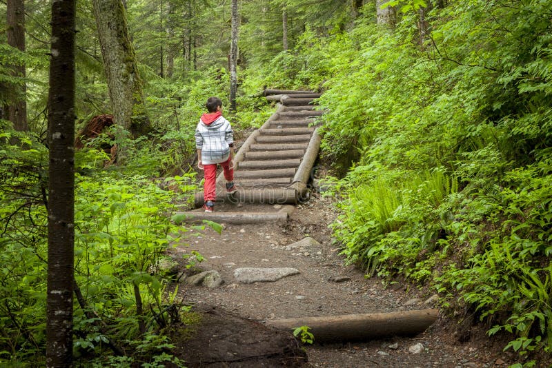 Boy on path in woods. stock image. Image of plants, walk - 73784007