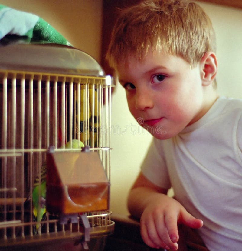 Boy with Pet Bird stock image. Image of male, children - 6440093