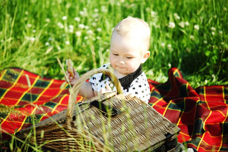 Boy on picnic stock image. Image of nature, meadow, meal - 18219823