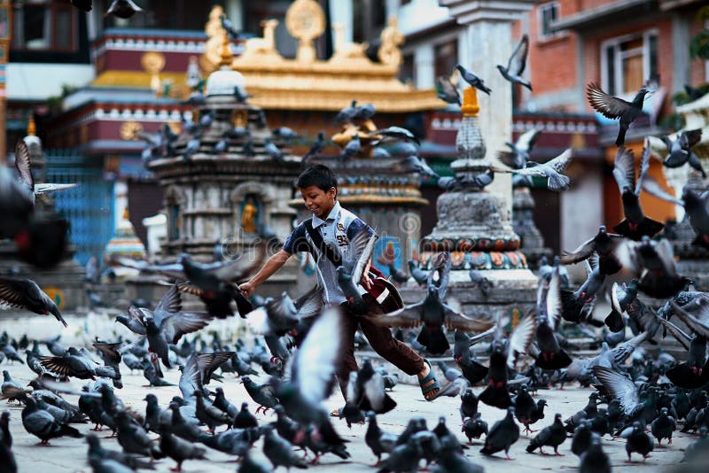 Boy and pigeons editorial photo. Image of karma, asian - 44886361