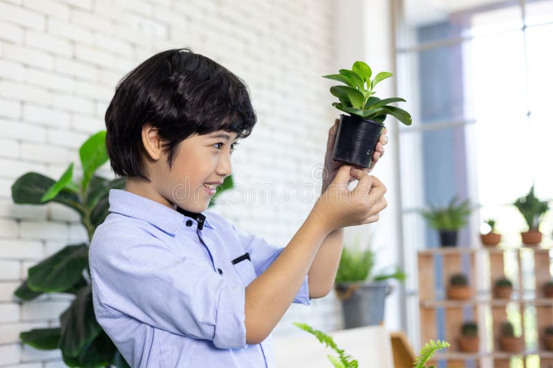 Boy with a Plant Pot in the Garden Stock Image - Image of earth ...