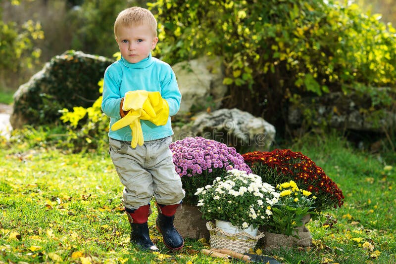 Boy planting flowers stock image. Image of face, flower - 48565727