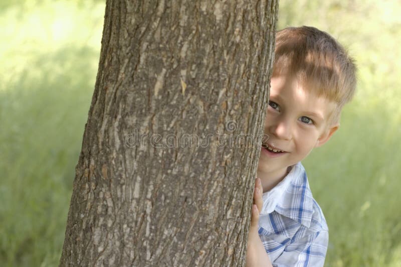 Male Kid Peeking Over a Rustic Wooden Fence Stock Photo - Image of ...