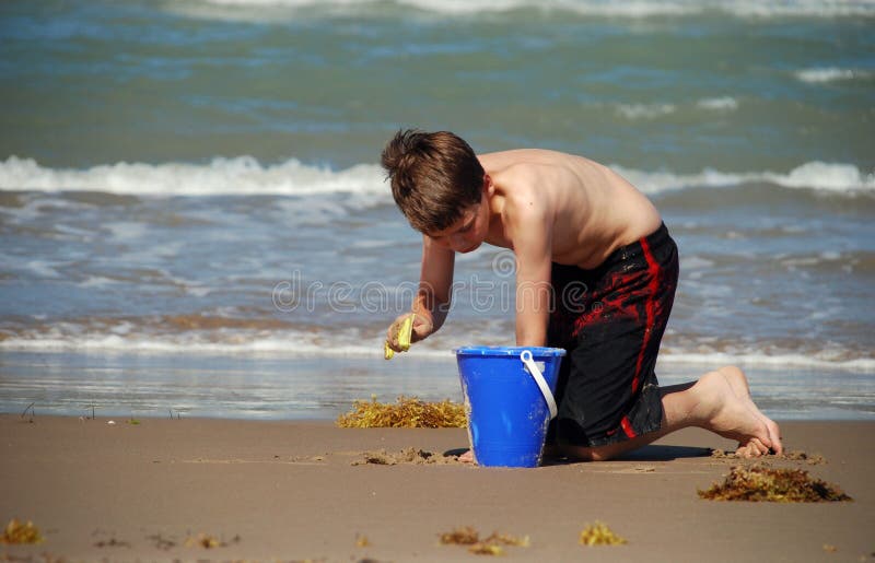 Boy playing on the beach stock image. Image of hair, yellow - 7670893