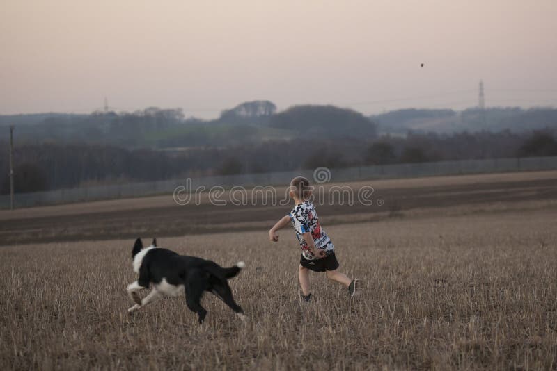 Boy Playing with Family Dog Stock Image - Image of people, friendship ...