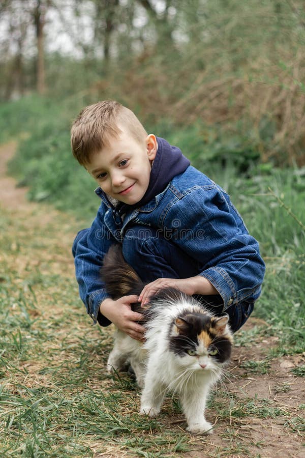 Boy Playing with a Fluffy Cat in the Park Stock Image - Image of nature ...