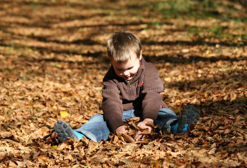 Small Blonde Boy Raking Leaves Stock Image - Image of photograph, sunny ...