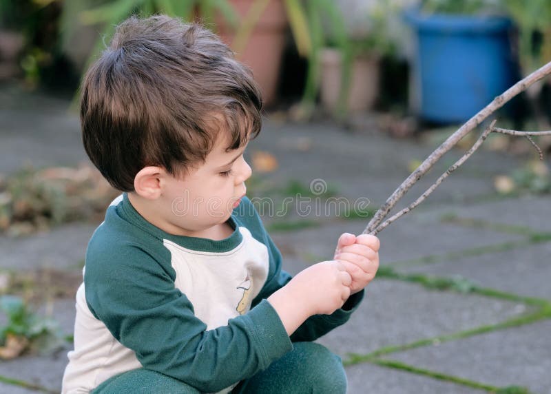 Little Boy Playing with a Twig in the Garden Stock Photo - Image of ...