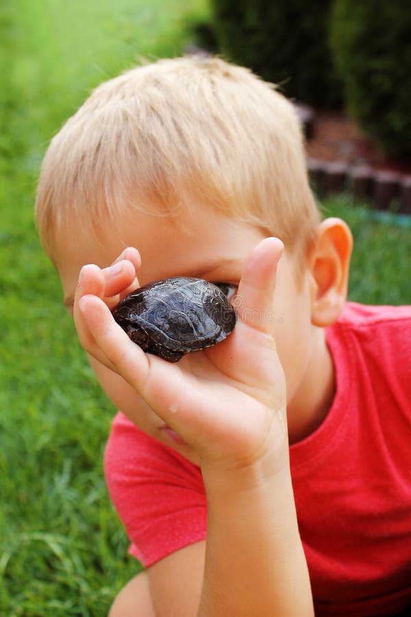 Little Boy Has Fun with the Turtle. Stock Illustration - Illustration ...
