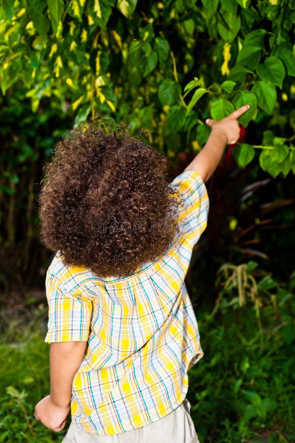 Boy pointing out nature stock image. Image of trinidad - 30383737