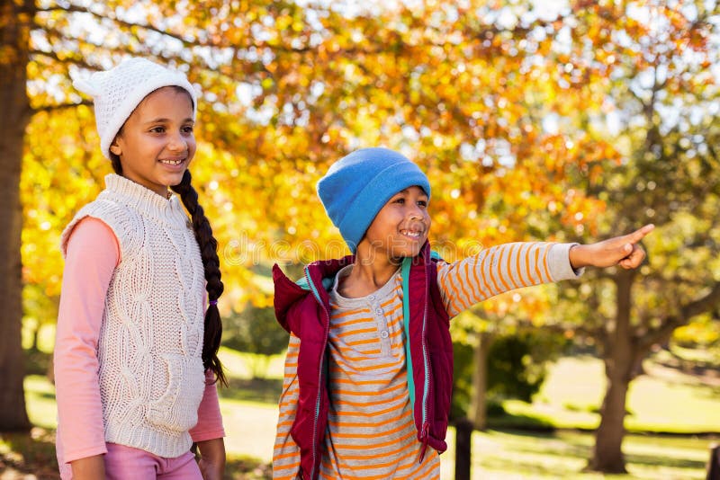 Boy Pointing while Standing with Sister Against Autumn Trees Stock ...