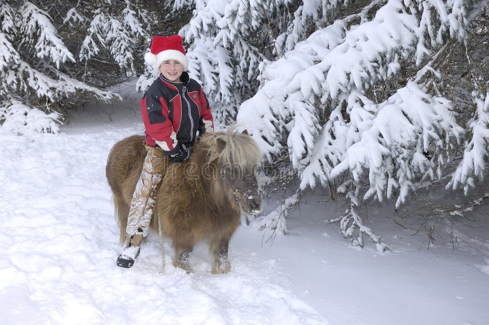 Boy and Pony stock image. Image of people, reins, smiles - 3927203