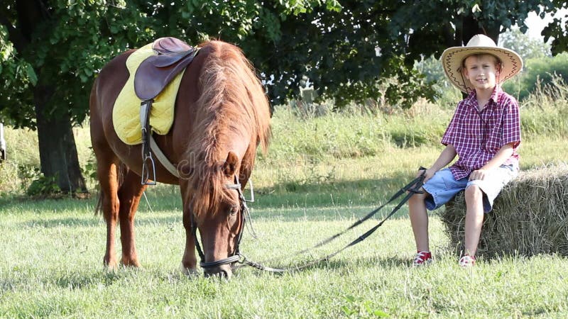 Boy and pony on farm stock video. Video of 1080p, happy - 34993021