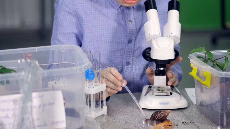 Children Preparing Materials for Science Experiment. 4K. Stock Footage ...