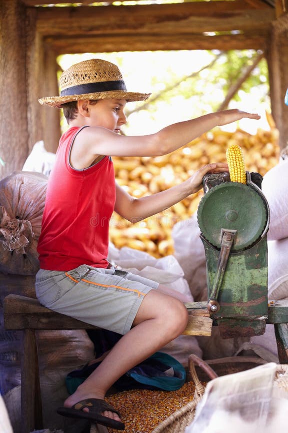 Boy processing corn stock photo. Image of basket, person - 309619182
