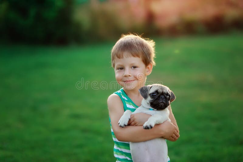 Boy and pug stock image. Image of brown, look, grief - 25991089