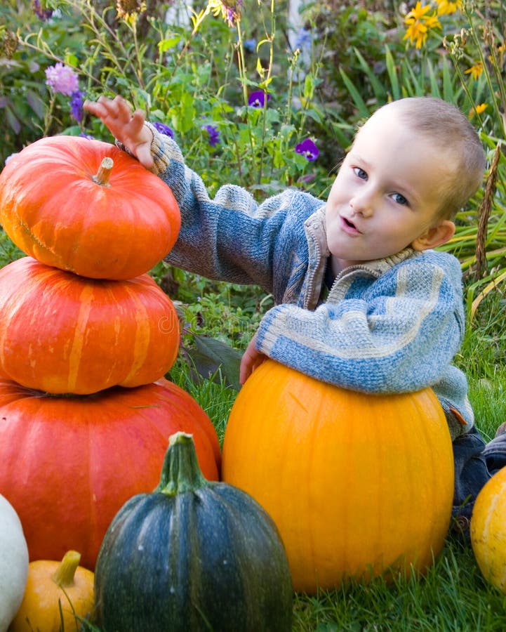 Boy with pumpkins stock photo. Image of organic, nutrition - 11084822