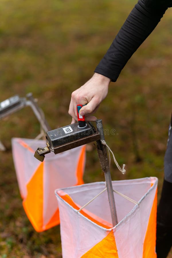 A Boy Punching at the Orienteering Control Point Stock Image - Image of ...