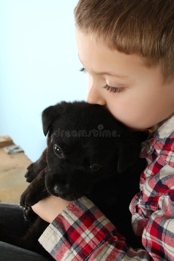 Boy and puppy stock photo. Image of friendship, canine - 22903018