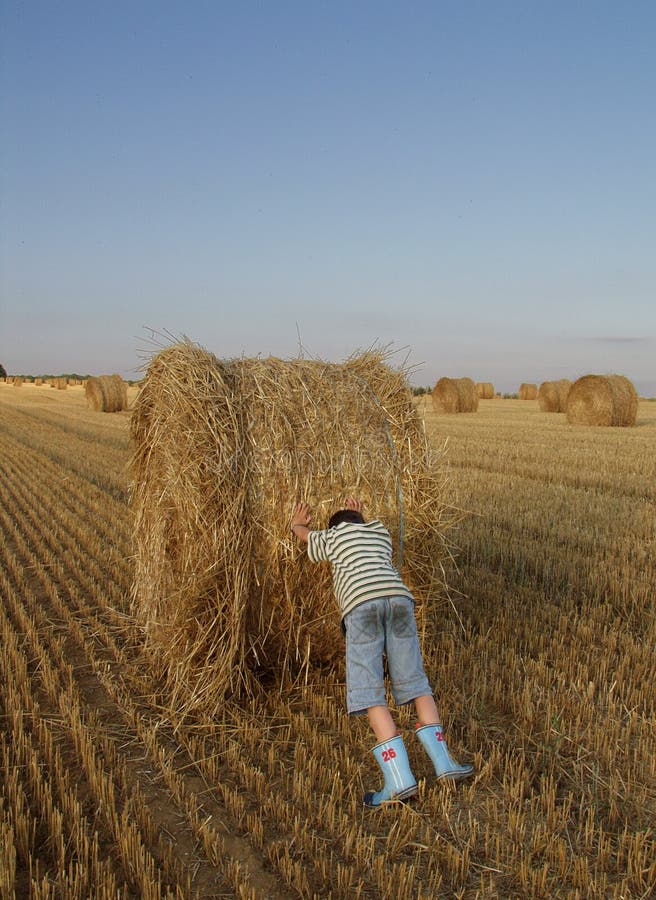 Boy Pushing Haystack Stock Photos - Free & Royalty-Free Stock Photos ...