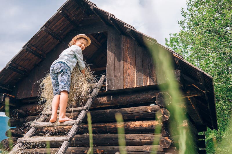 Boy Puts the Hay in Hayloft Stock Image - Image of ladder, farm: 89796645