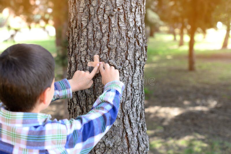 Boy Putting a Band-aid on a Tree Trunk Stock Image - Image of ...