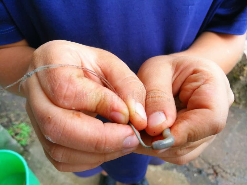 Worm on the Hook. Fishing Time Stock Image - Image of time, worm: 130714865