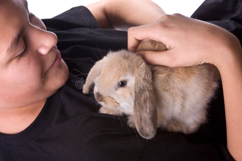 Boy and rabbit stock image. Image of animals, soft, animal - 18121005