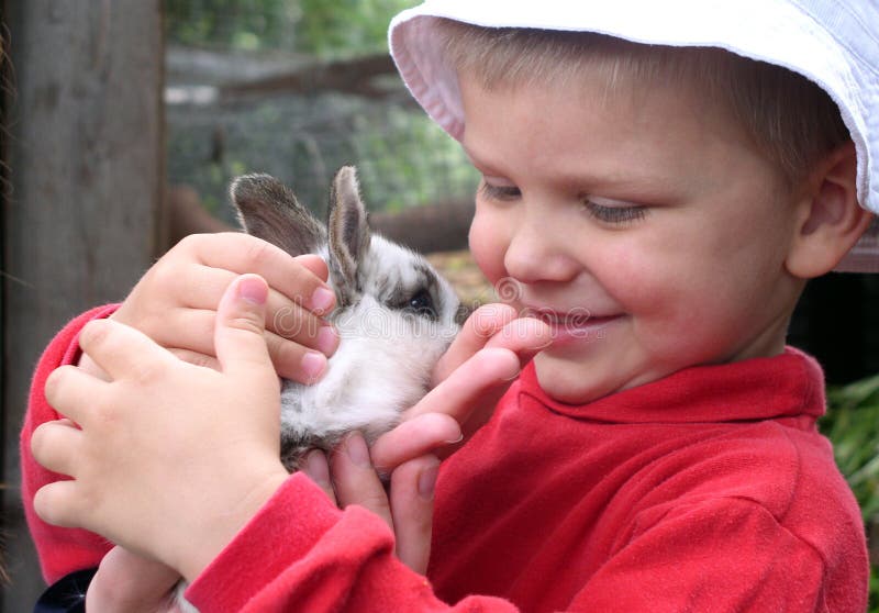 Boy and Rabbit stock photo. Image of animal, joyful, happy - 407422