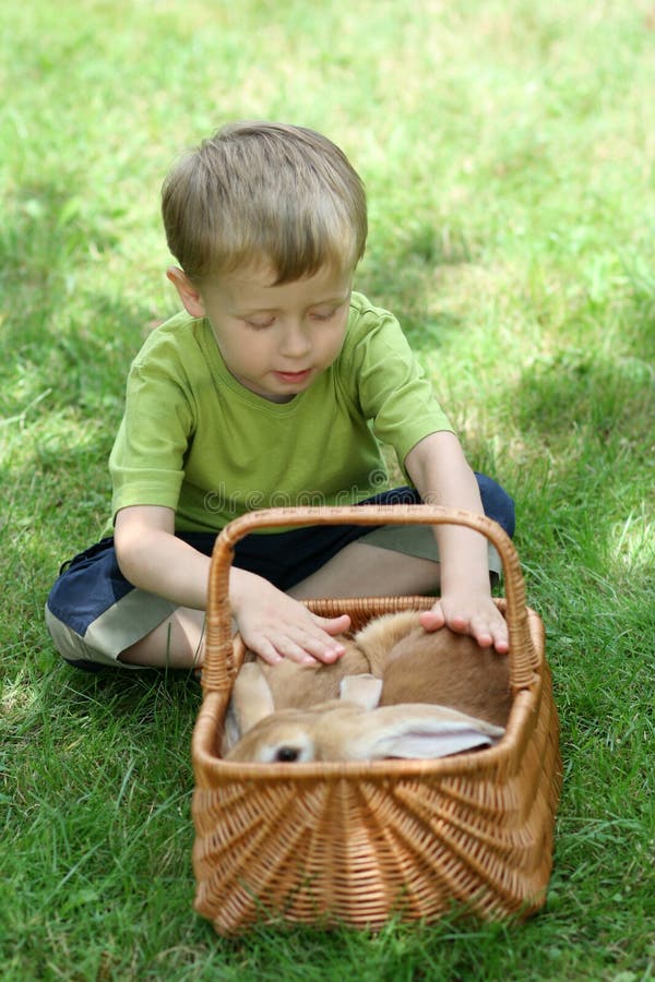 Boy and rabbit stock photo. Image of summer, cheerful - 5774252