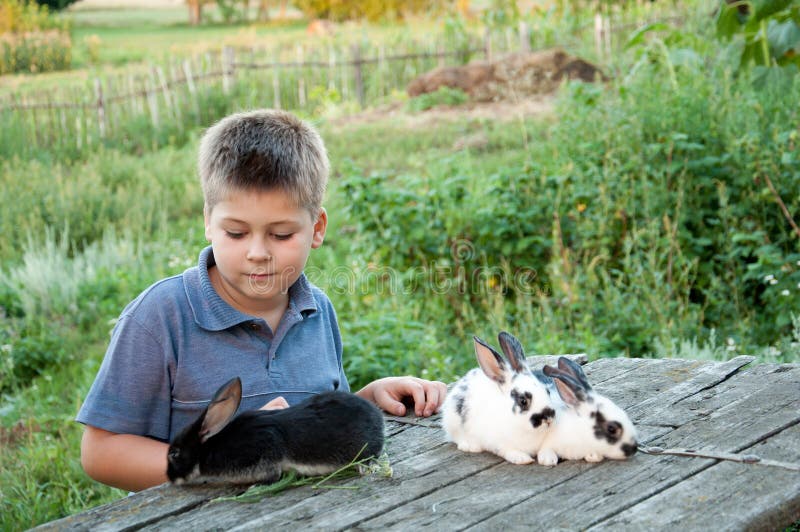 Boy and Rabbit stock photo. Image of animal, joyful, happy - 407422