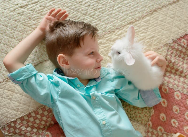 Boy and Rabbit stock photo. Image of animal, joyful, happy - 407422