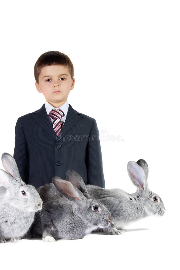 Boy and rabbits stock image. Image of child, cute, friend - 17163025