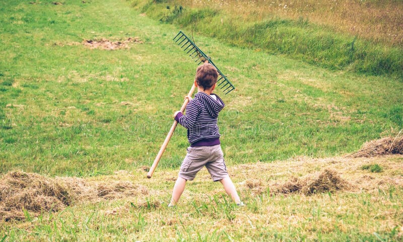 Boy Raking Dry Hay with Rake on Field Stock Image - Image of leisure ...