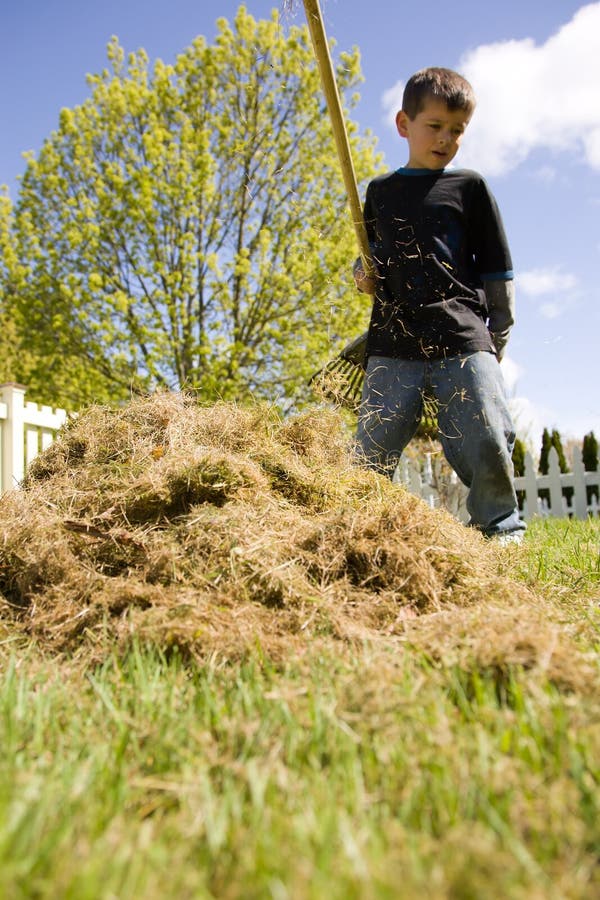 Boy raking grass stock photo. Image of spring, earning - 2256348