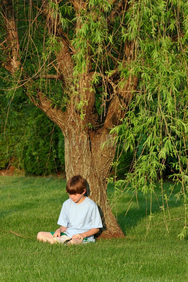 297 Boy Reading Book Under Tree Stock Photos - Free & Royalty-Free ...