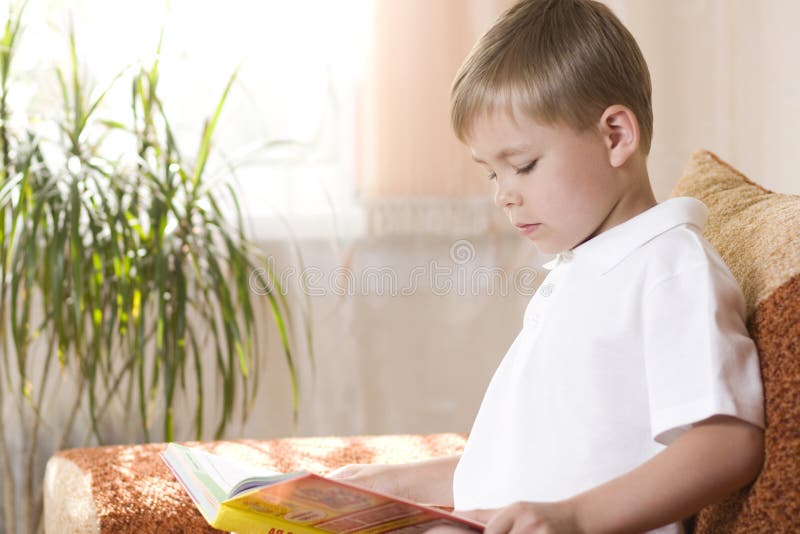 Boy Reading a Book stock image. Image of holding, book - 14246095