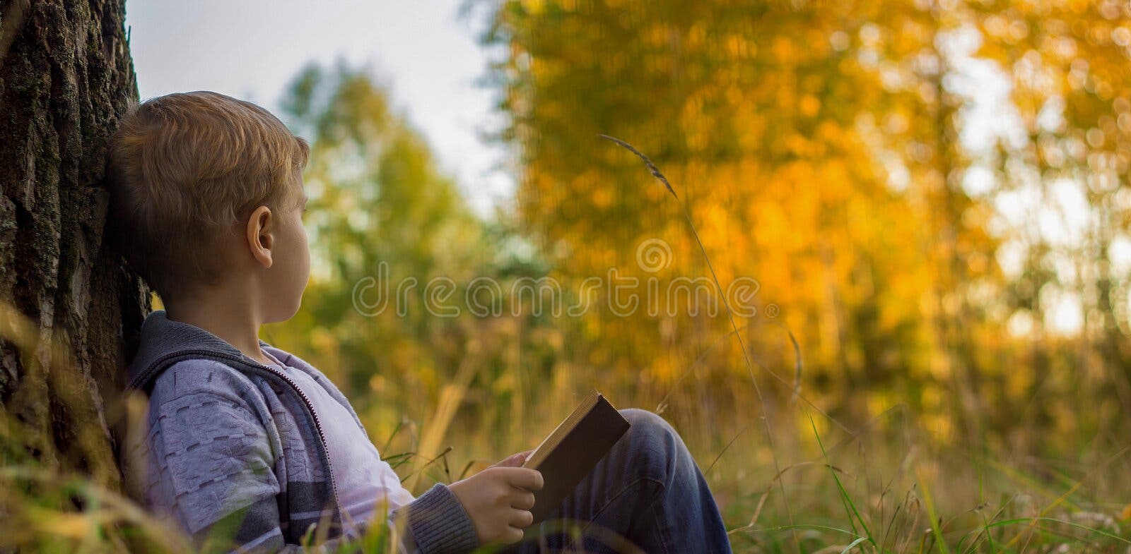 246 Boy Reading Book Under Tree Stock Photos - Free & Royalty-Free ...