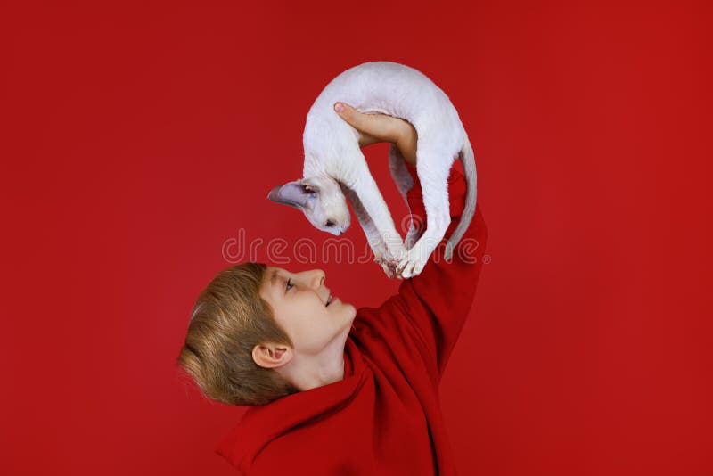 Child Lifting Cat Stock Photos - Free & Royalty-Free Stock Photos from ...