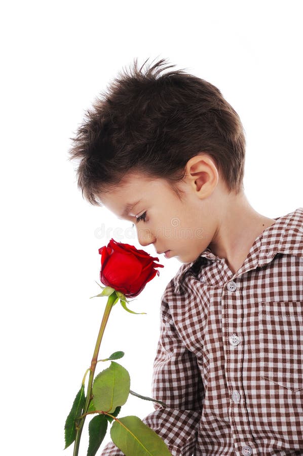 Boy with red rose stock photo. Image of european, handsome - 29012548